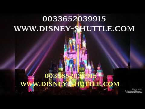 Disney Paris shuttle cdg disney transfer Orly to Disney taxi beauvais to disney transfers minivan