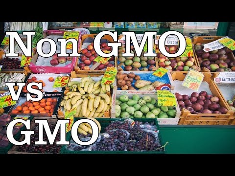 GMO vs Organic or NON GMO - SEE LINK IN DESCRIPTION FOR NEW VIDEO