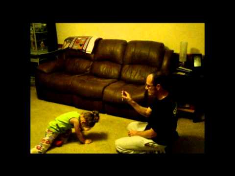 Example of Behavioral Momemtum