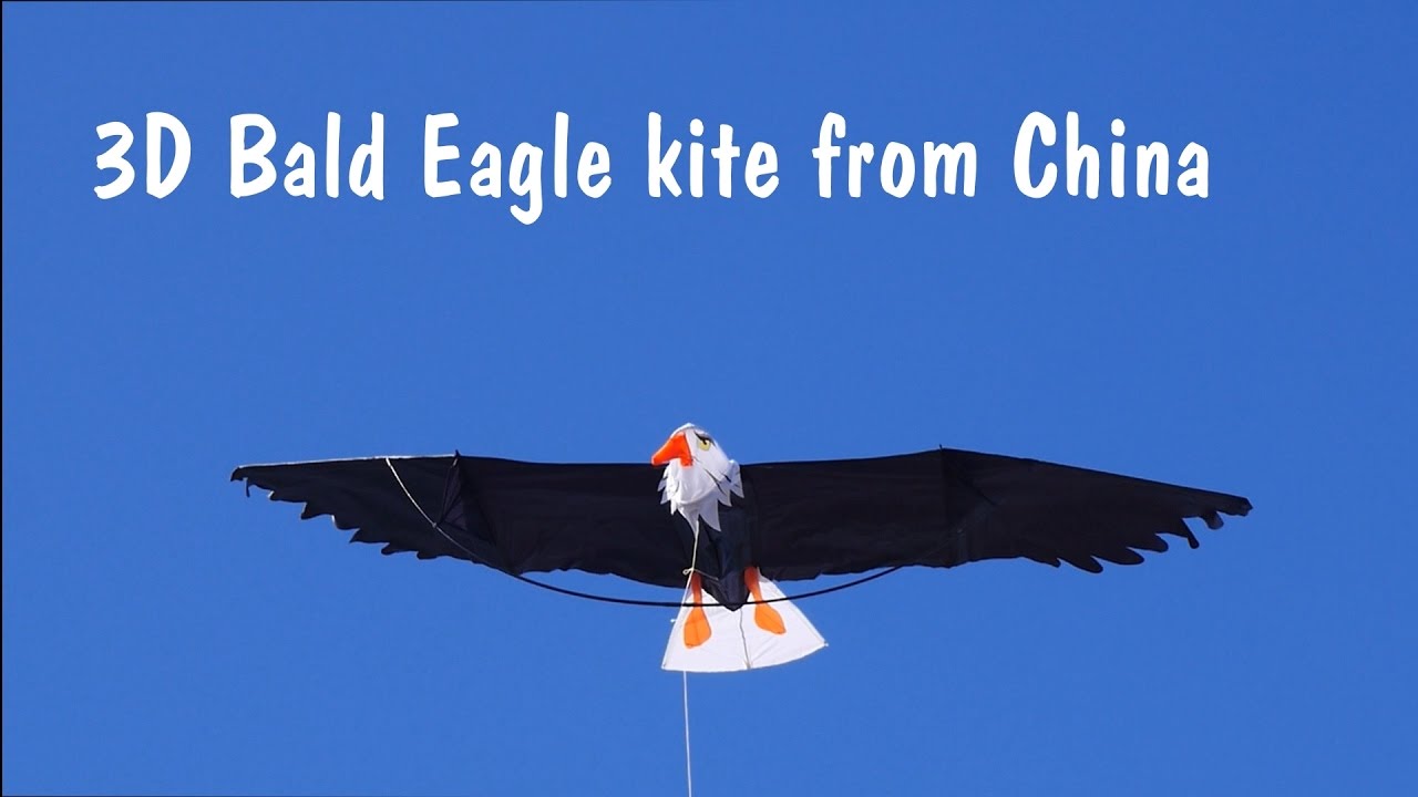3D Bald Eagle kite from China