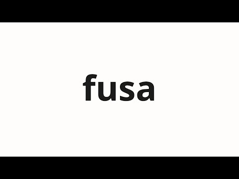 How to pronounce fusa | 不差 (Indistinguishable in Japanese)