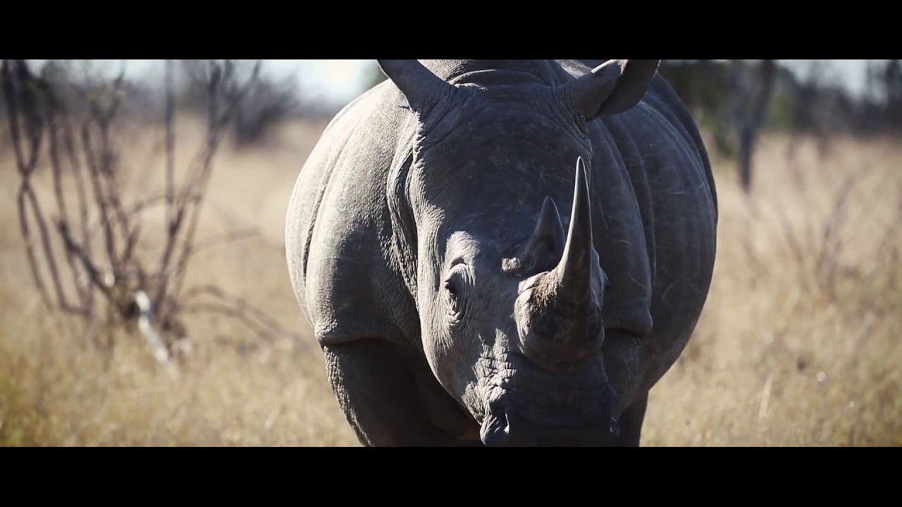 Earth.Org | Our Planet is Speaking