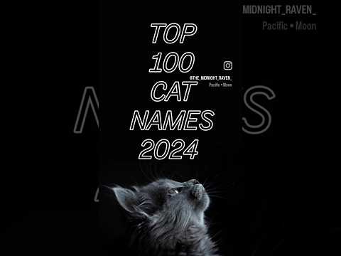 TOP 100 CAT NAMES OF 2024 60 - 56 #cats #catnames #top100 #cat #cats #lists #shorts