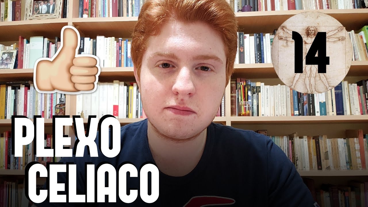 PLEXO CELIACO. ANATOMIA | MORTASH