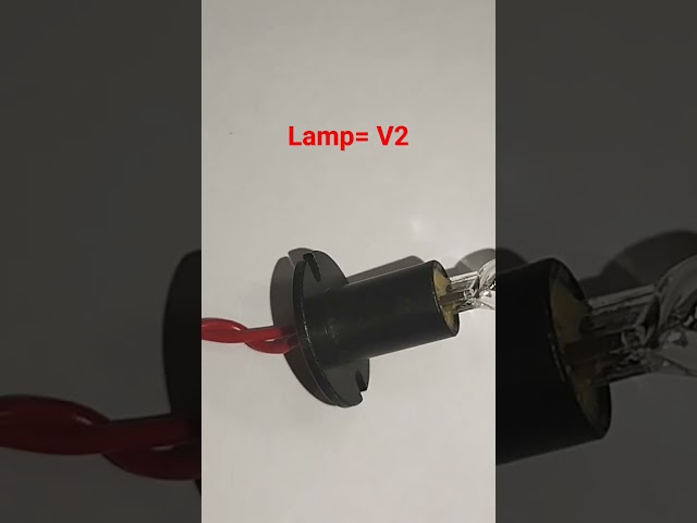 Biochemistry Lamps - Mispa Viva Lamp Trader - Wholesaler / Distributor ...