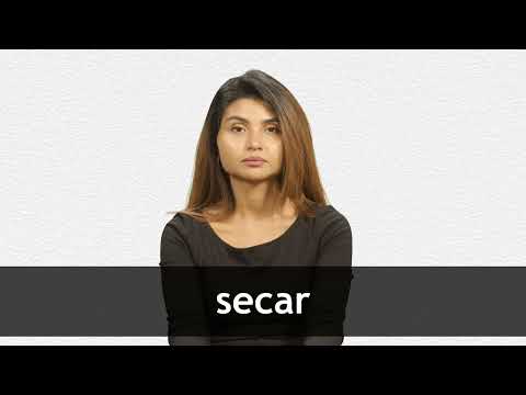 English Translation of “SECAR” | Collins Spanish-English Dictionary