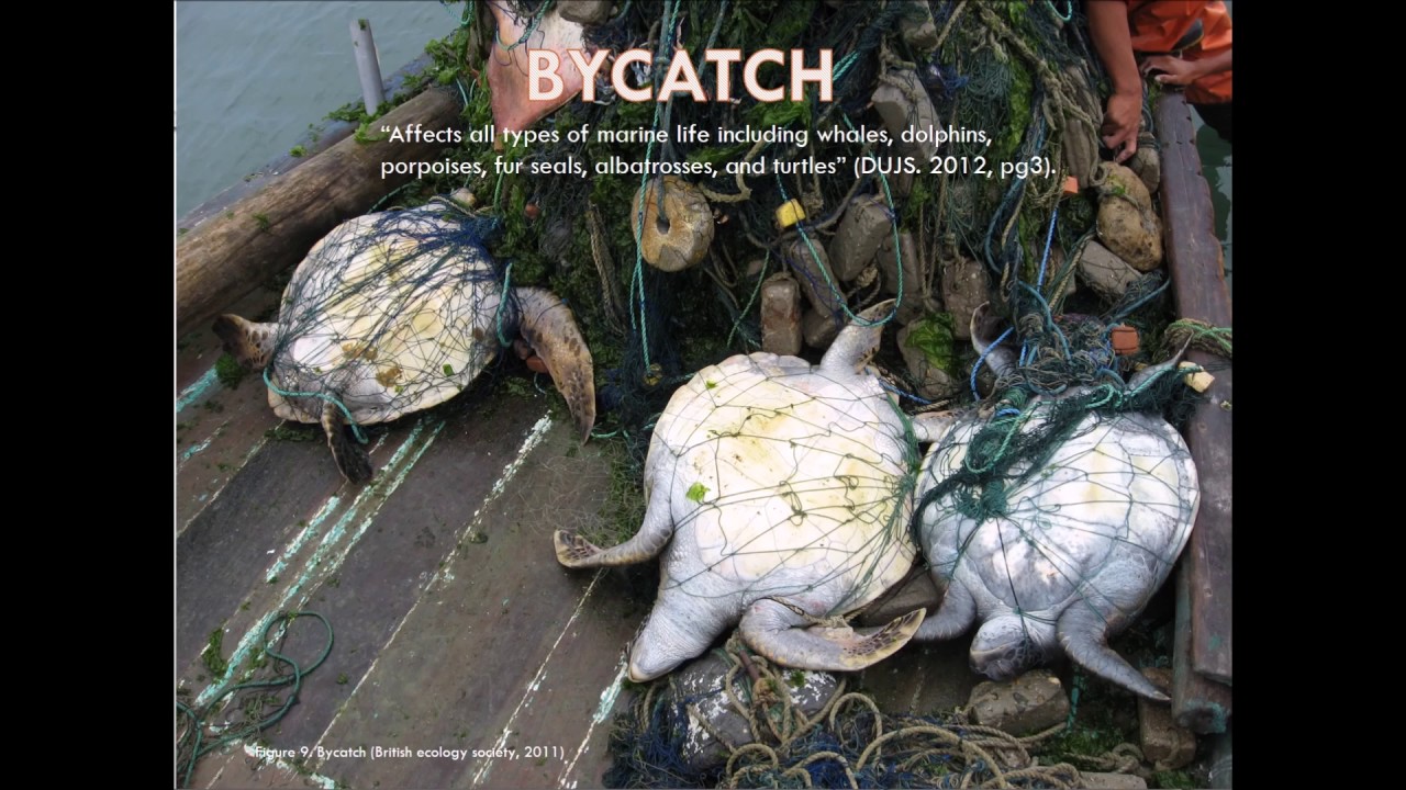 EDC171 - Assignment 3