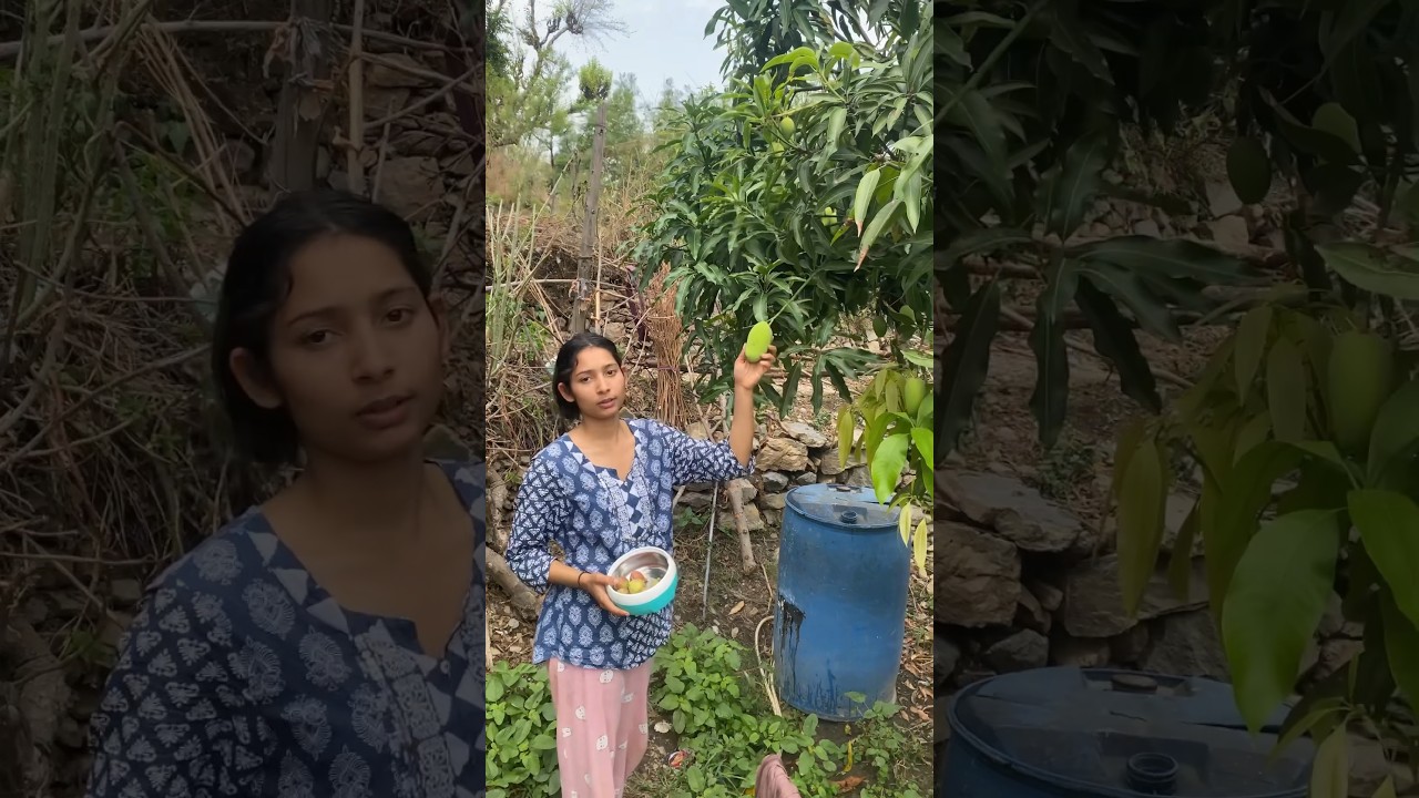 Pahadi fruits #minivlog DAY67 #75dayschallenge