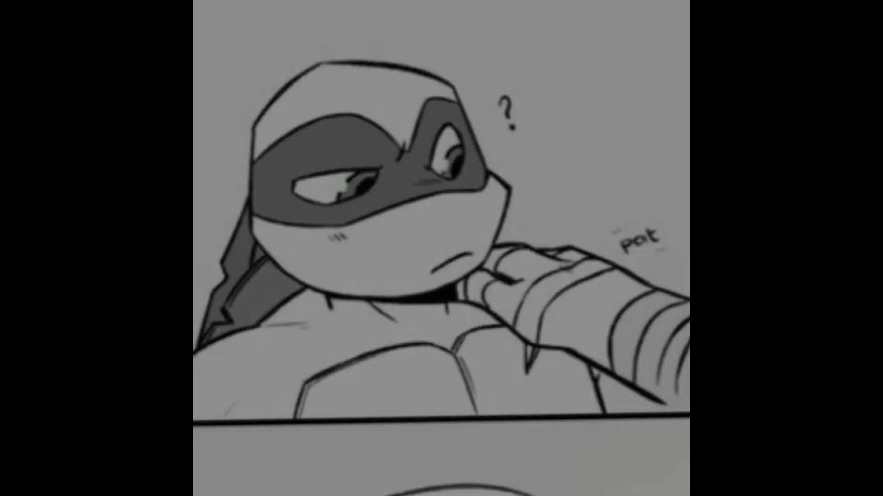 Raph and Leo angst || tmnt 2012 ||