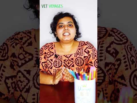 Terrifying reality of 60000 human rabies deaths annually …!