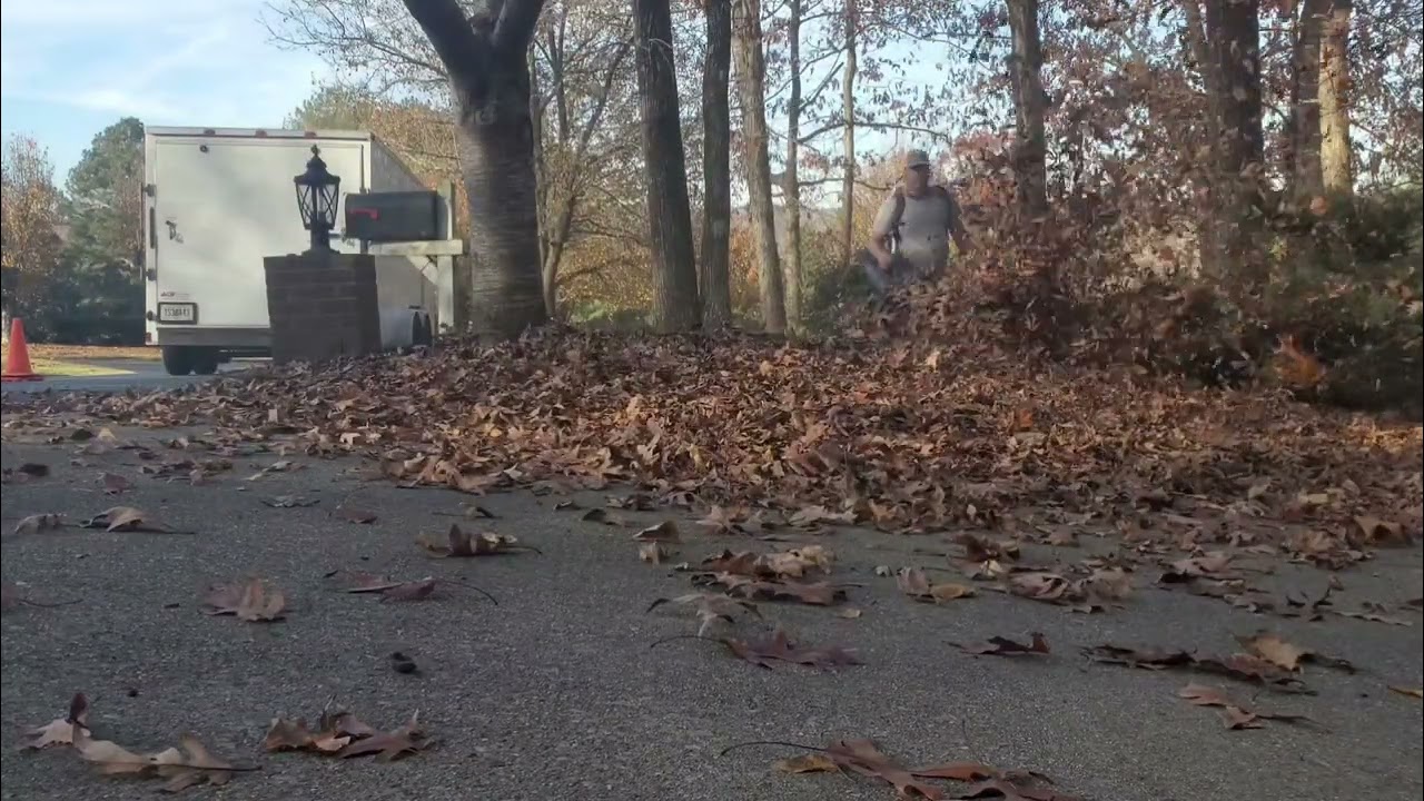 BLOWING LEAVES FROM LANDSCAPE INTO DRIVEWAY