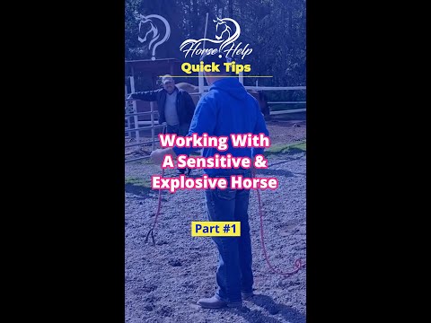 Quick Tips On Working With A Sensitive & Explosive Horse! Part 1 | The Horse Guru - Michael Gascon