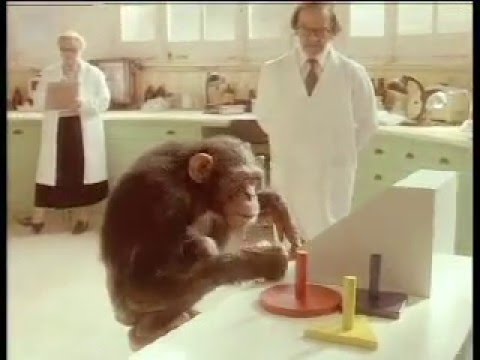 Telethon Monkeys Agency Version