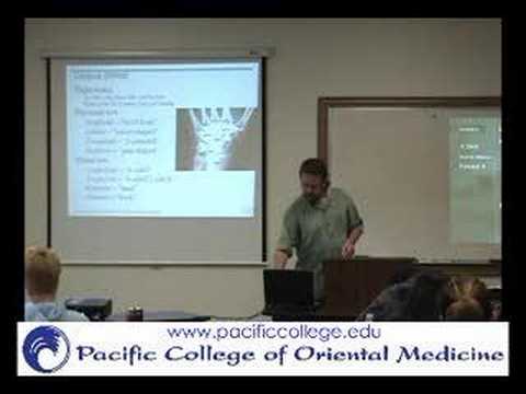 PCOM Anatomy 1 WK 6 Bones of Upper Limb P1
