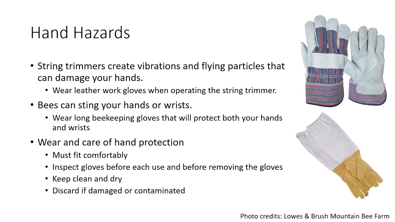 The Hive's PPE and Safety Slideshow