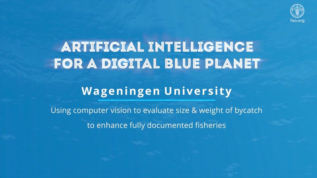 FAO AI4DBP Using computer vision to evaluate bycatch to enhance fully documented fisheries