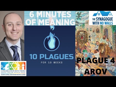 Six Minutes of Meaning - Plague 4, Arov