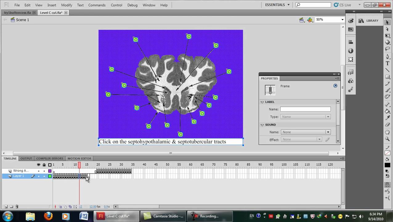 ActionScript 2 0 to ActionScript 3 0