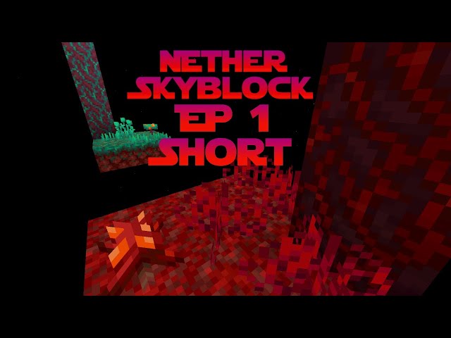 Nether Skyblock 1.19.2 (Biomes and Necessary Structures) Minecraft Map