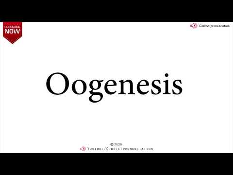 How to Pronounce Oogenesis - Pronounce it right! #correctpronunciation