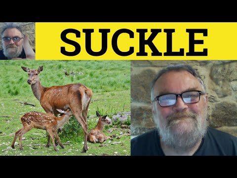 🔵 Suckle Meaning - Suckle vs Suck Definition - Suckle Examples - Suckle vs Suck