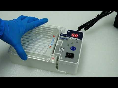 Gel Electrophoresis Equipment - Gel Electrophoresis Apparatus Latest ...