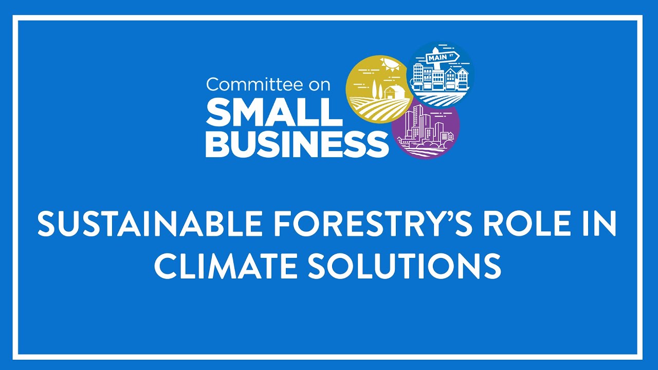 Sustainable Forestry’s Role in Climate Solutions