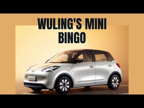 Here's what we know about BINGO