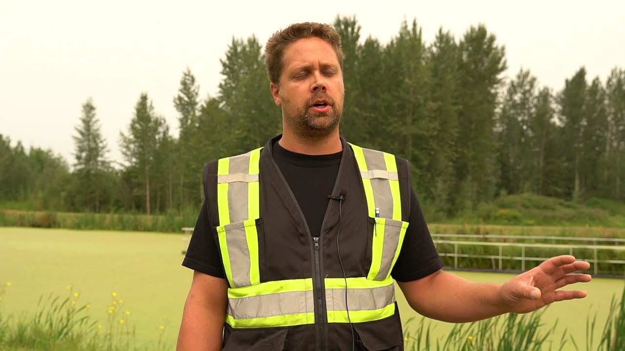 How Does The Sewage Treatment Lagoon Work? | Exploring Violet Grove Lagoon