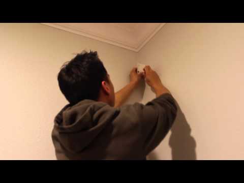 System Sensor 6424 Beam Detector Manual – Blue Every Day