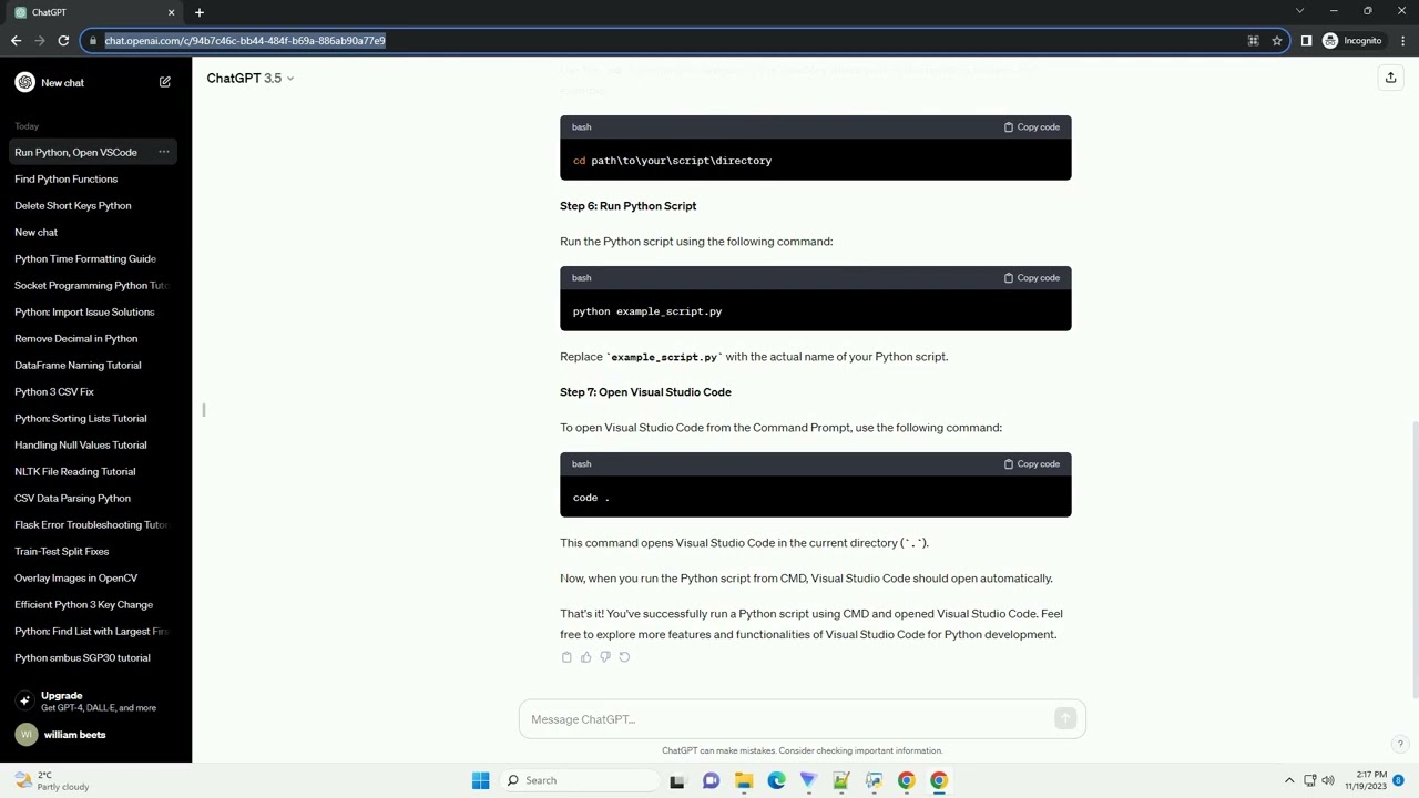 Running a Python script on CMD opens Visual Studio