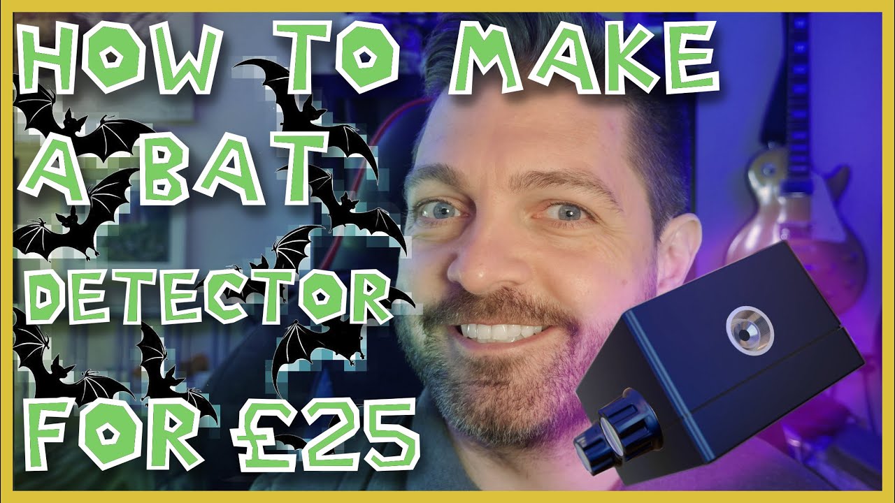 How I made this BAT DETECTOR for £25!