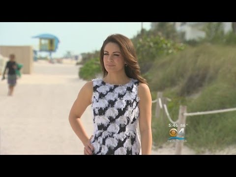 Rudabeh Shahbazi Wiki