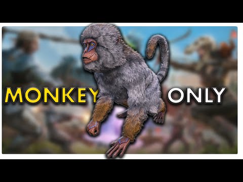 Steam Community :: Video :: ARK BATTLE ROYALE USING ONLY MONKEYS!!! SOTF