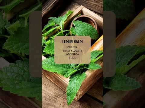 10 Medicinal Herbs You Should Grow