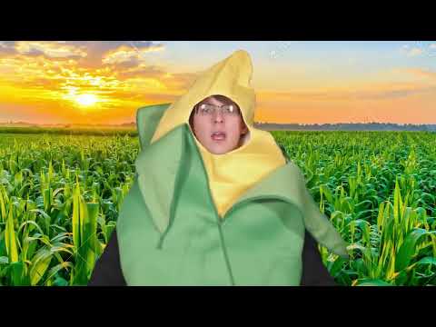 What Is Corn?