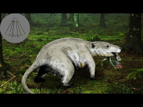 Repenomamus the Mammal that Ate Dinosaurs