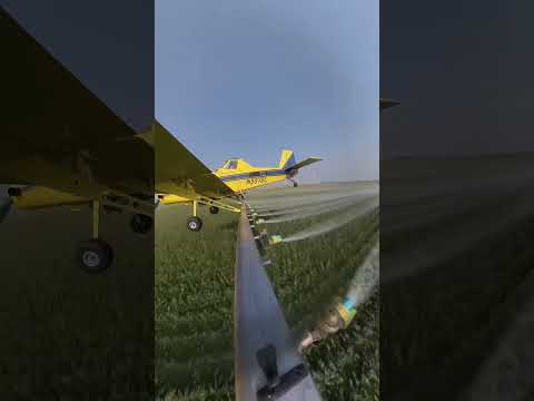 15 Seconds of CORN Spraying! #agaviation #cropdusting #agpilot