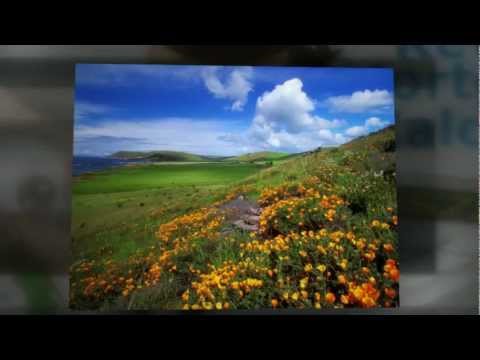 Reverse Mortgage Calculator California