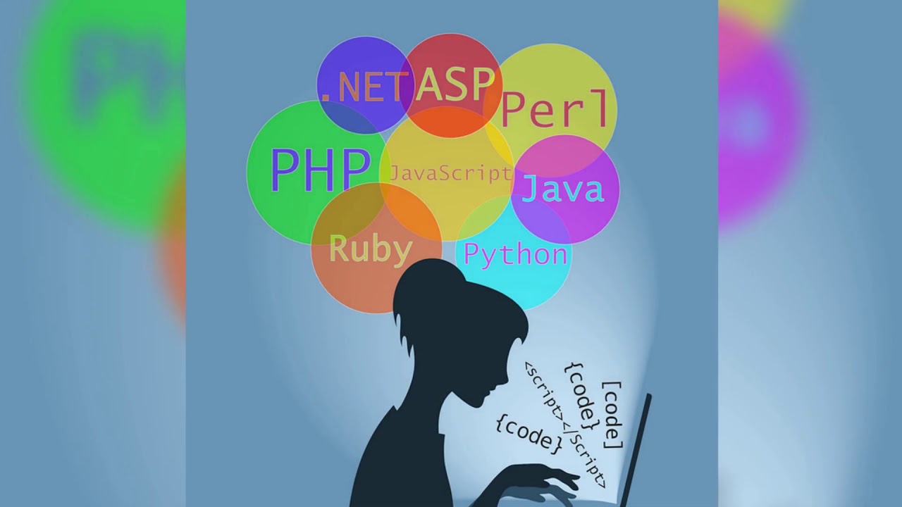 Where do I get the best Python assignment help