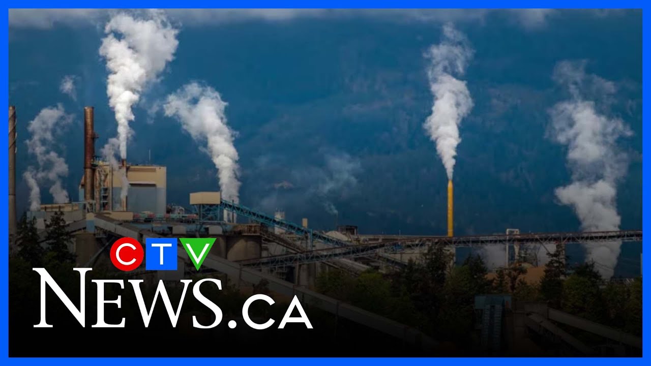 B.C. pulp mill set to close, but this time U.S. tariffs aren’t the cause