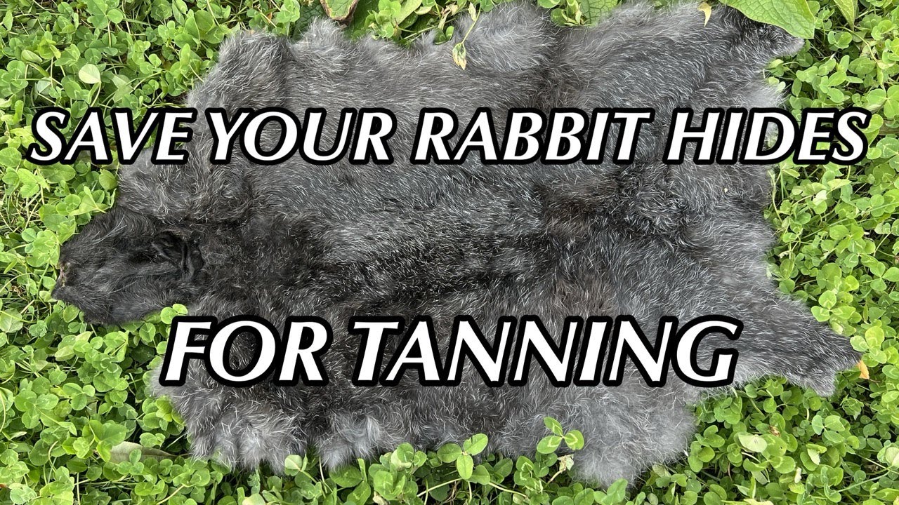 USING RABBIT FUR | How To Clean and Preserve Rabbit Hides For Tanning