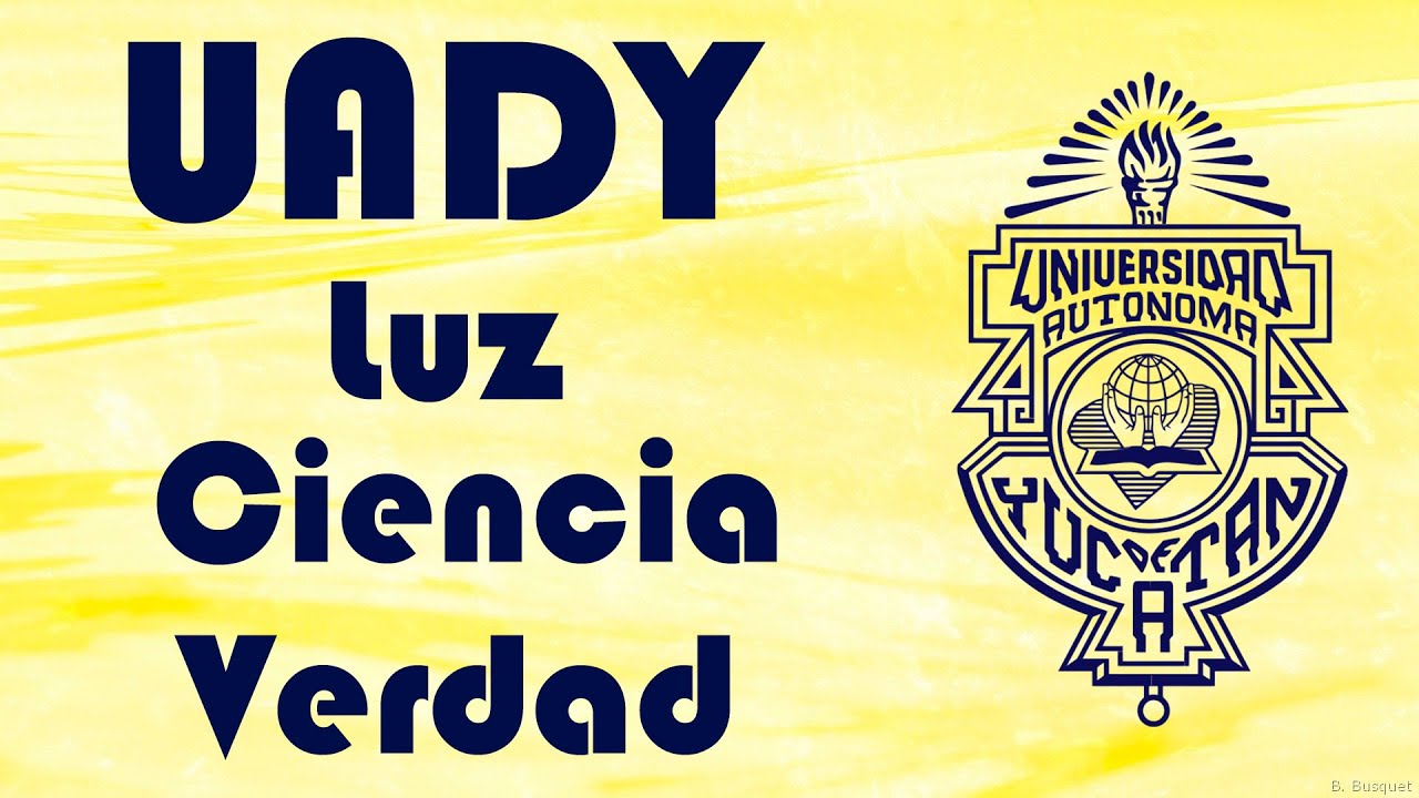 Plan de Estudios UADY / Ing. Química 2021