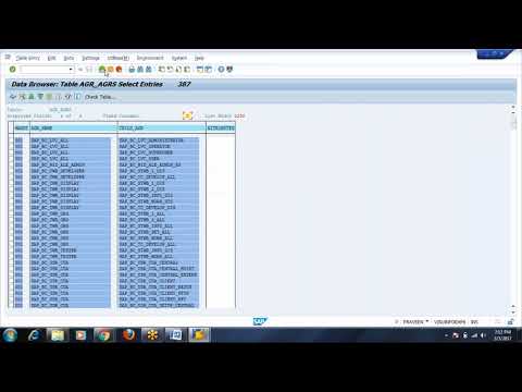 Day 10 - SAP Security Role Tables