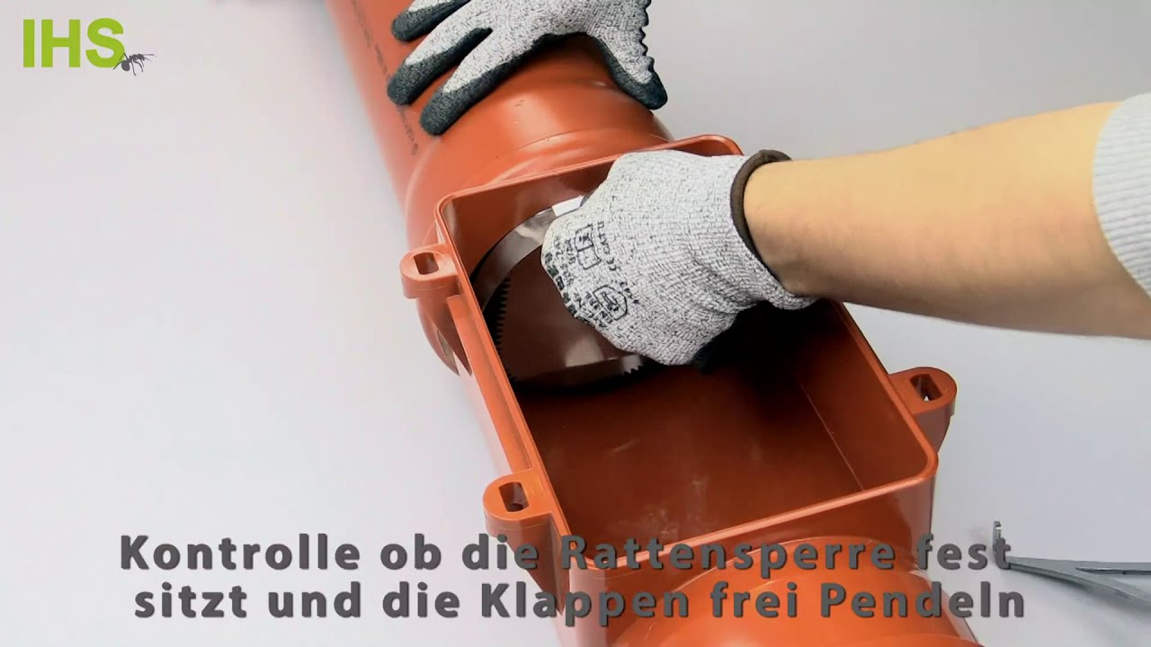 Pipe|Sec Rattensperre - Einbau in eine Reinigungsöffnung