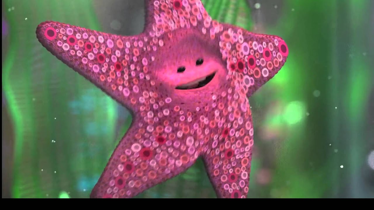 Finding Nemo - the tank is clean!