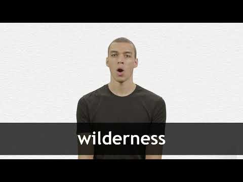 WILDERNESS definition and meaning | Collins English Dictionary