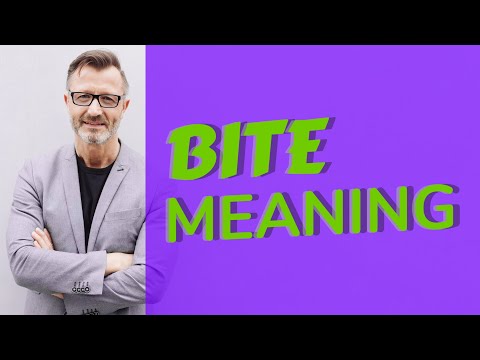 Bite | Meaning of bite