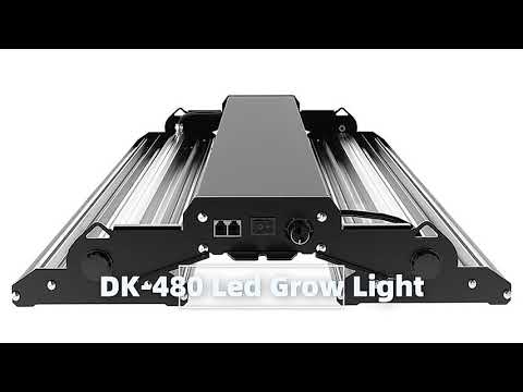 Plant Factory With LED Grow Light, direct ex-factory price, OEM for your brand!