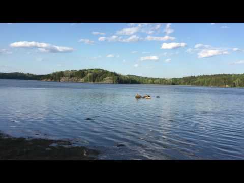 Heron View Cottage Video